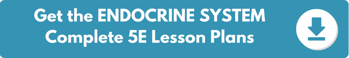 Endocrine System Lesson Plan A Complete 5e Method Science Unit 3647